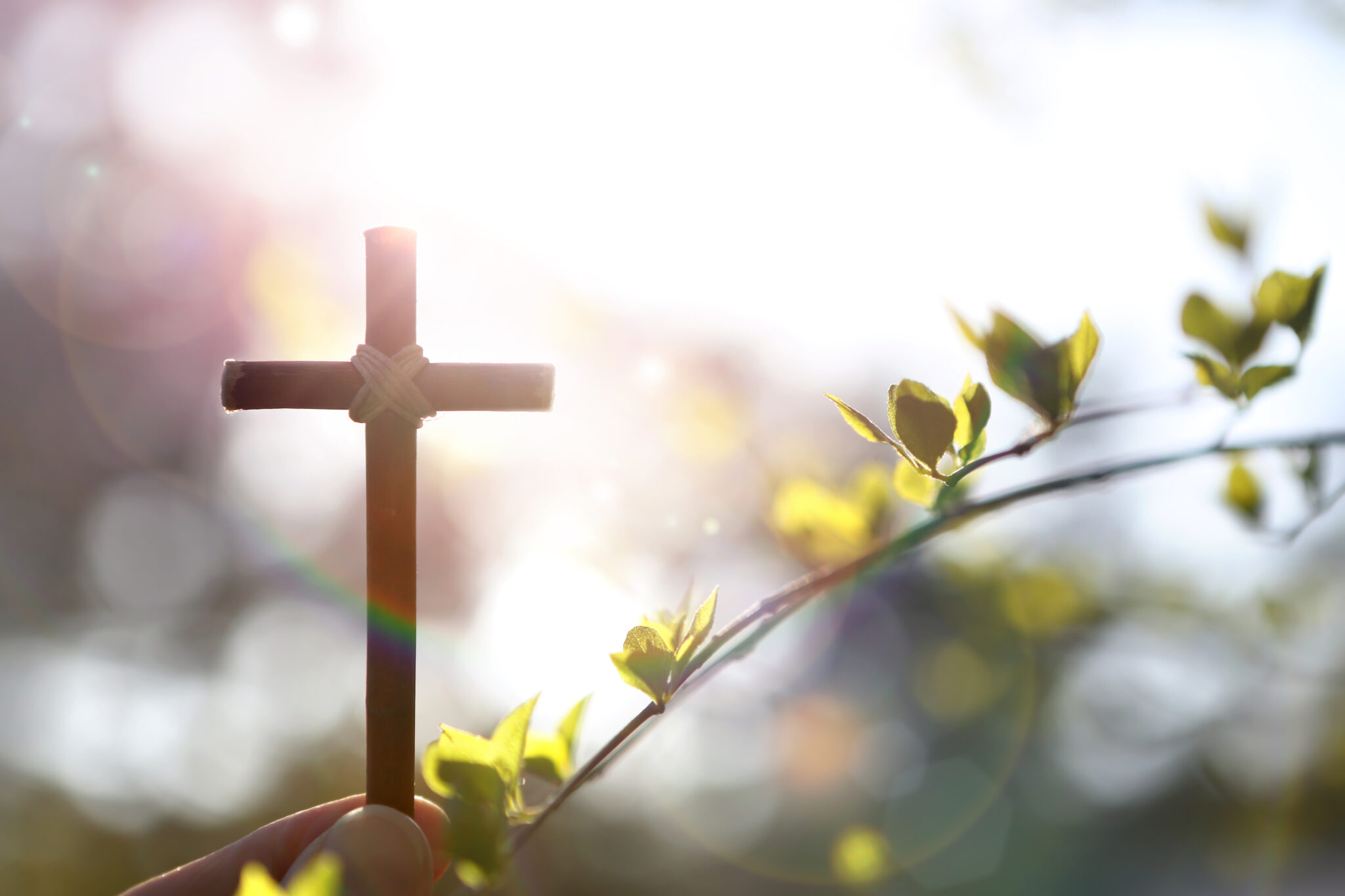 From Palm Sunday to Resurrection Sunday: A Week of Outreach ...